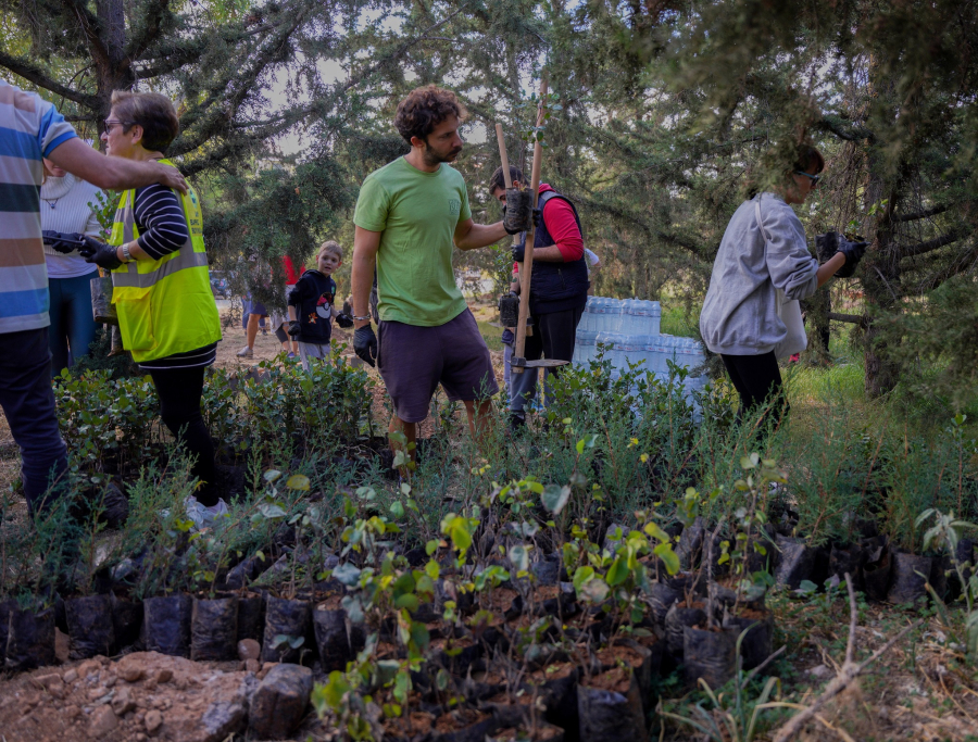 Η εταιρεία Βίκος φύτεψε 1000 δενδρύλλια στην εθελοντική δράση της We4all - Dnews